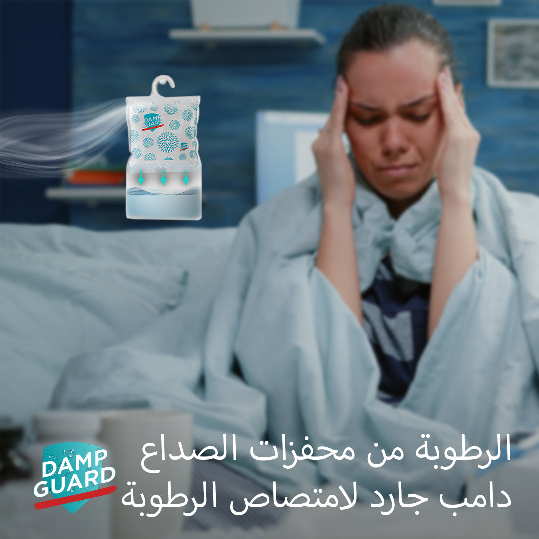 Download – DampGuard